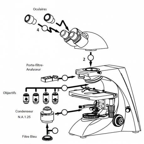 Microscope optique
